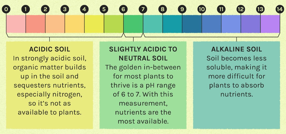 Top 10 Soil Ph Meters Manufacturers In India, Price Demand, How to Use ...