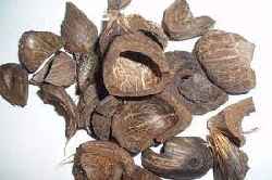 Palm Kernel Shell Suppliers,Top Palm Kernel Shell Manufacturers in ...