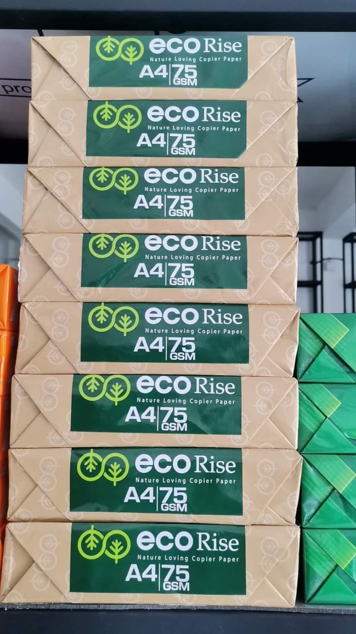 Ecorise 70 GSM A4 Size Paper at Rs 168 / Sets in Morbi, Gujarat - Shree ...