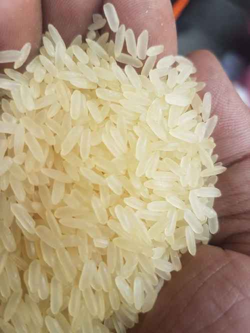 Rice Manufacturers,Rice Suppliers,Rice Wholesale Price in India